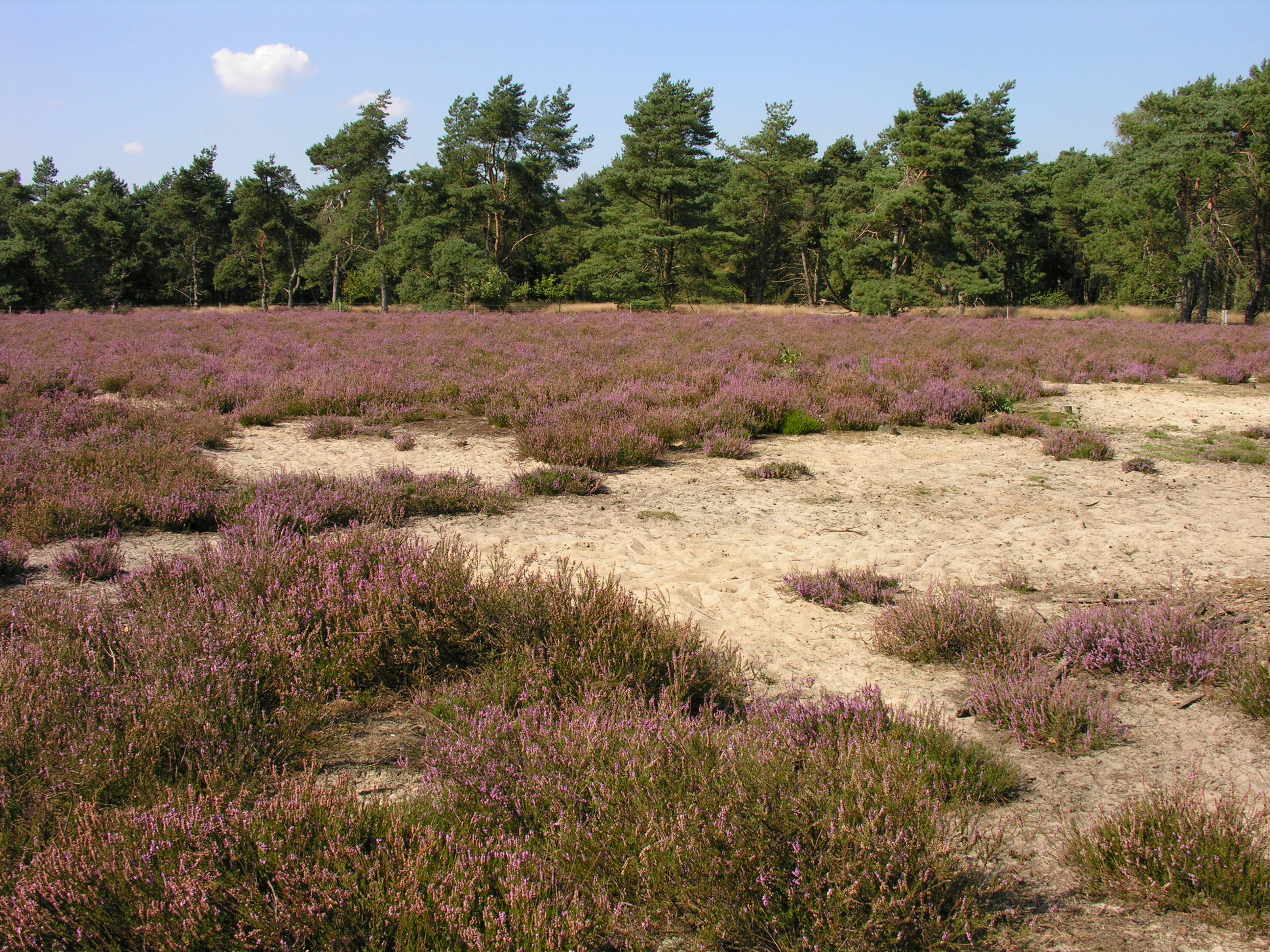 301 Moved Permanently