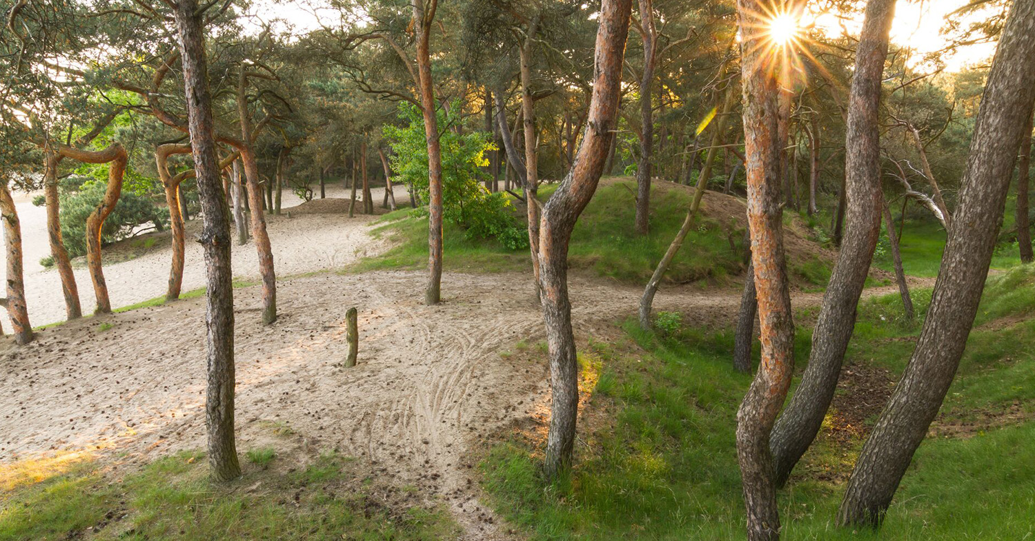 Jobs, stages en vrijwilligers | Agentschap voor Natuur en Bos