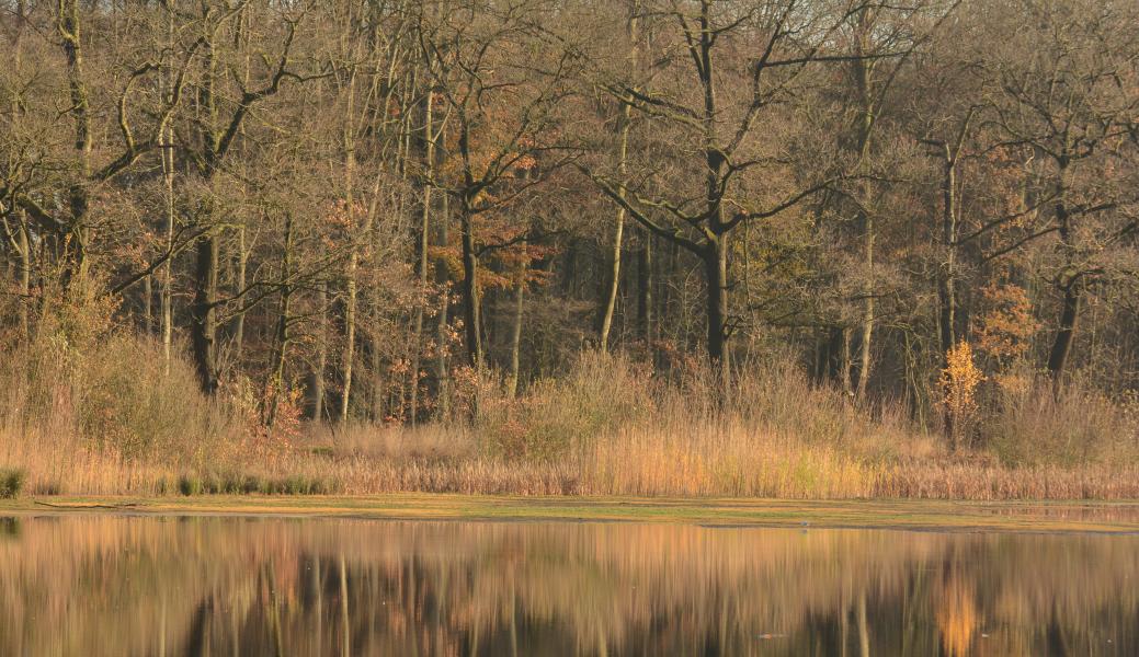 Merksplas Kolonie | Agentschap voor Natuur en Bos