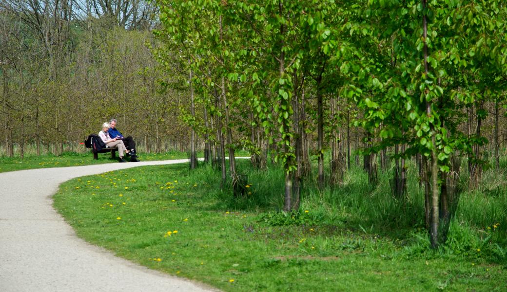 Tangebeekbos | Agentschap voor Natuur en Bos