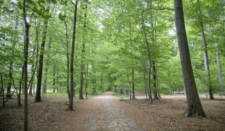 Blogs | Agentschap voor Natuur en Bos